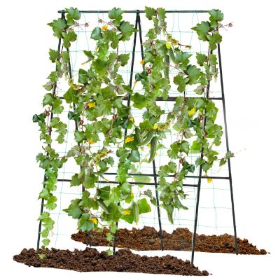 Trellis da giardino per piante rampicanti, Trellis da giardino a A per ...
